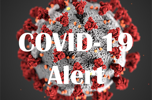 HOME [www.alamedaca.gov]